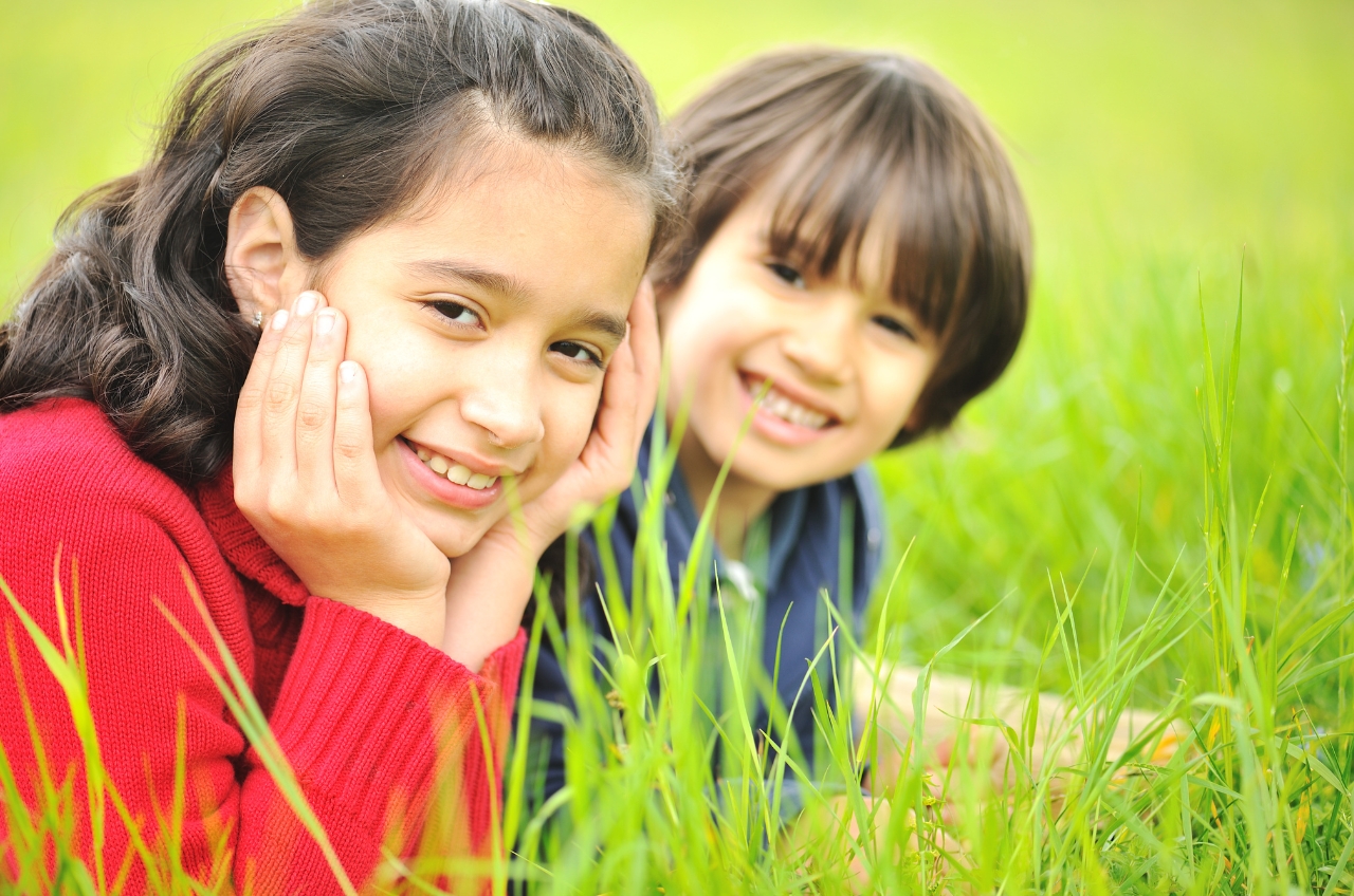 The Nest Initiatives - ARACY